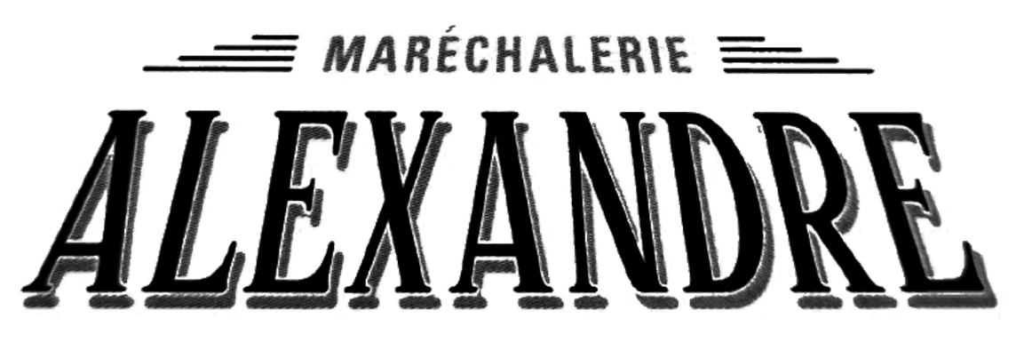 Farrier in Langon - Maréchalerie Alexandre